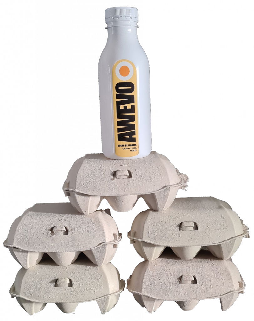 Wevo: La alternativa vegana al huevo tradicional